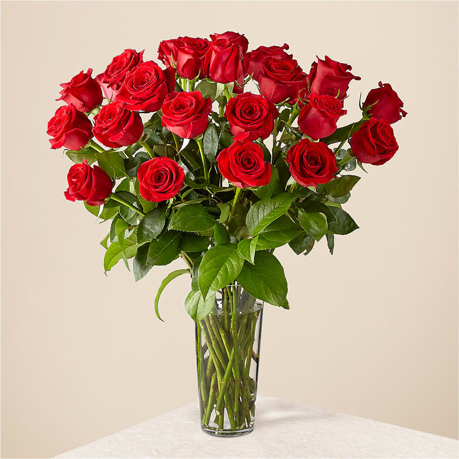 Central Islip Florist | Same Day Flower Delivery by Joya Flowers